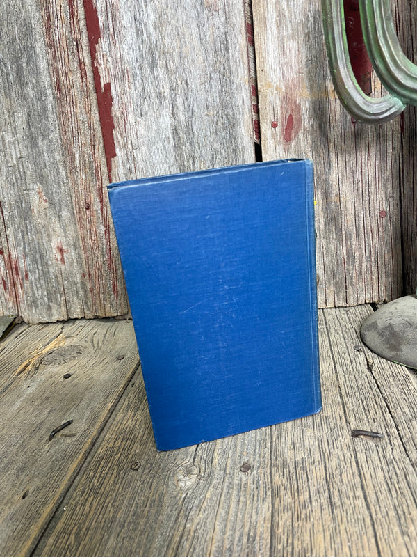 Cowboy Dave by Frank Webster Book - Ropes and Rhinestones